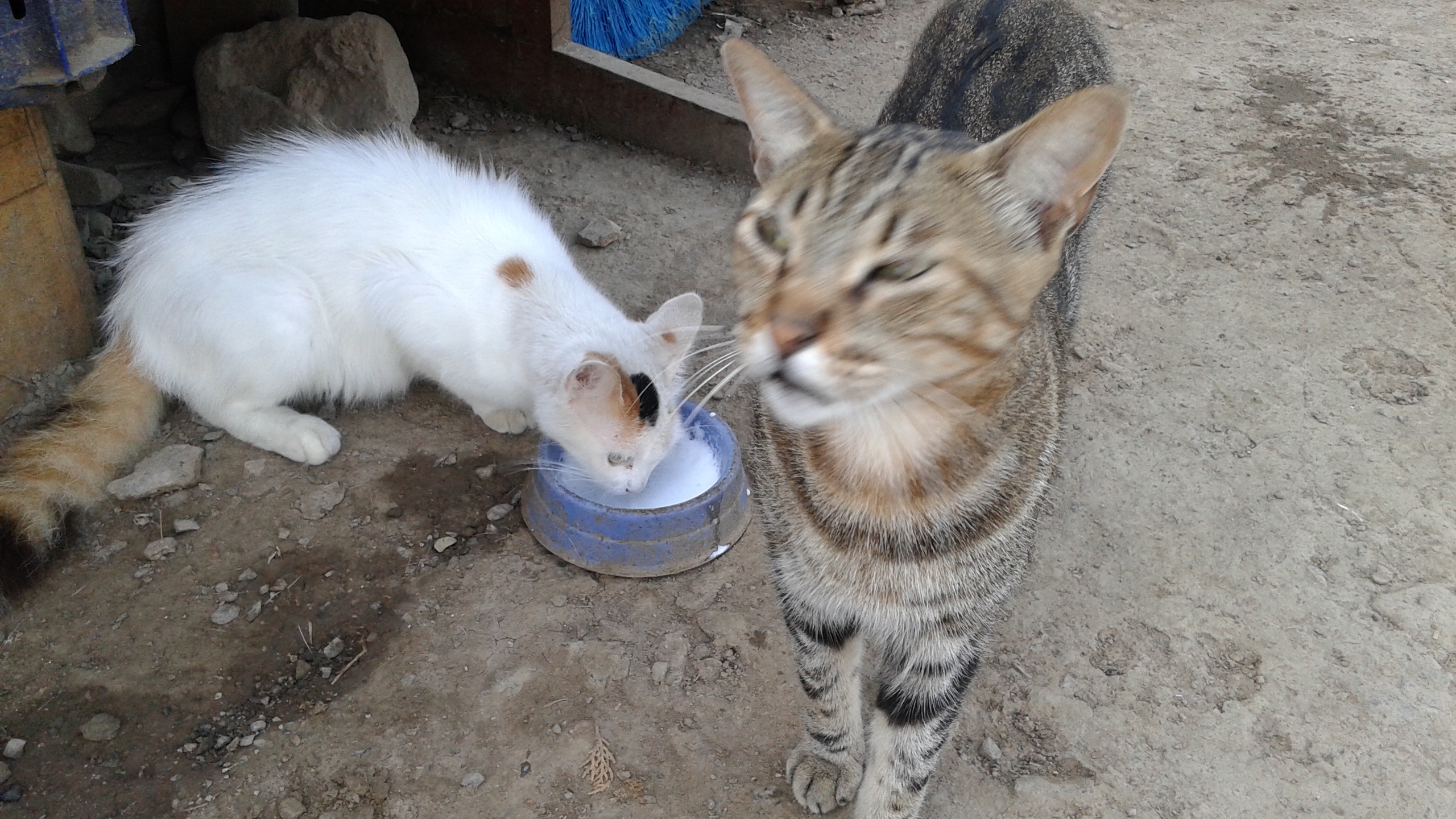 20160214_070531 | Leah Gerber