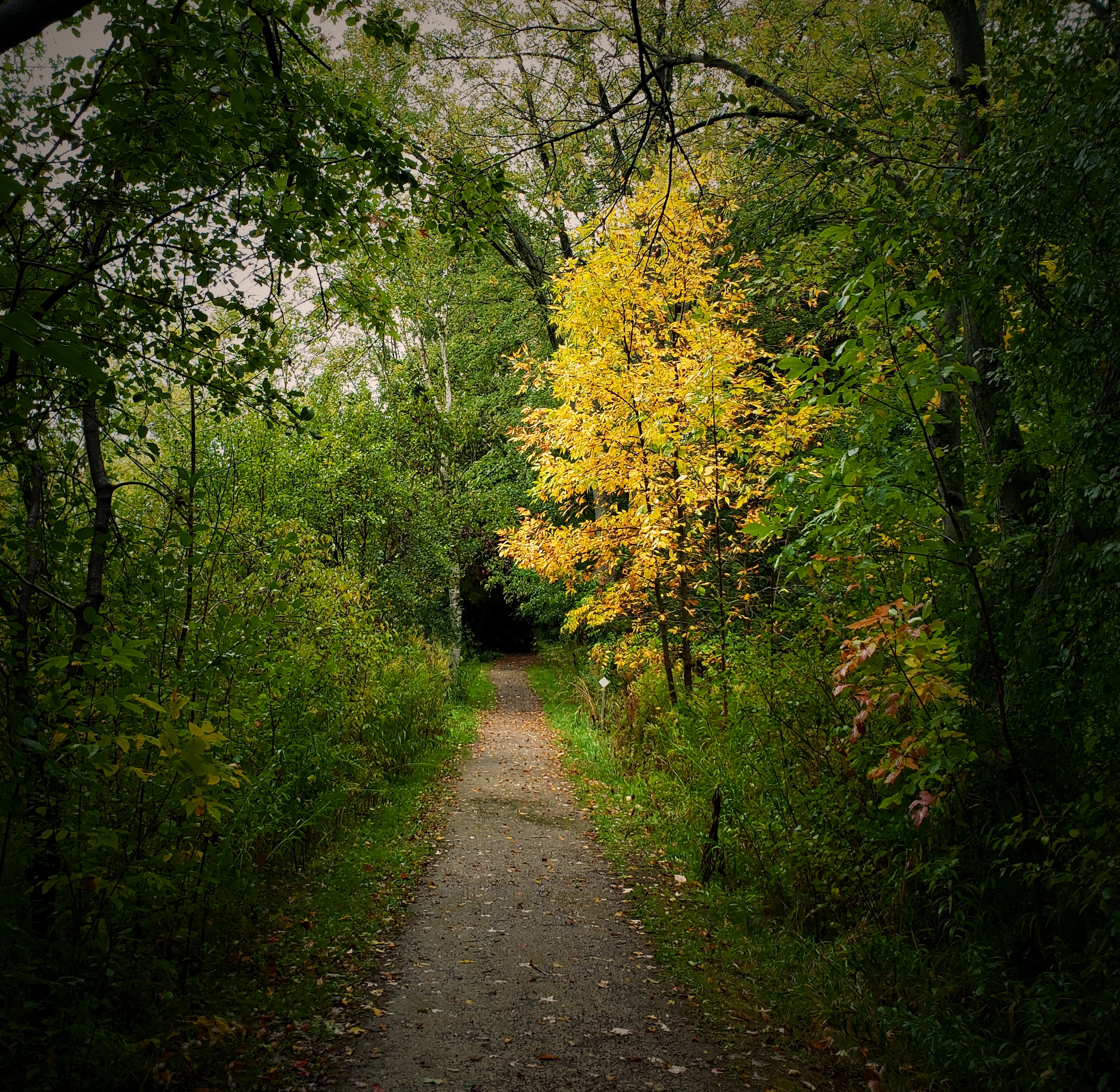 The best way to enter a Grand River Conservation Area – Leah Gerber